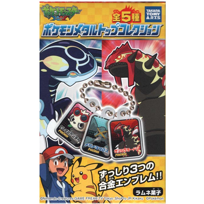 Pokemon Metal Plate Keychain set